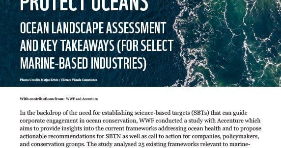 Ocean Landscape Analysis 1pg | WWF