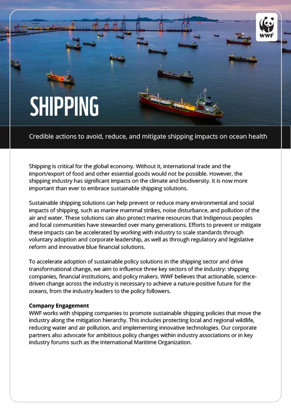 Ocean Markets: Shipping | World Wildlife Fund