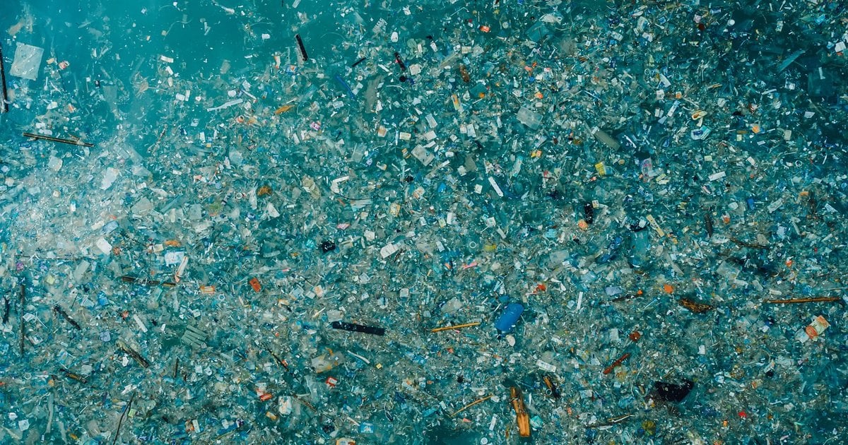 What The Water Tells Me: Lessons On Plastic Pollution | WWF