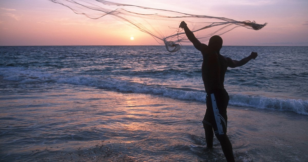 Opportunities to Engage: Oceans | WWF