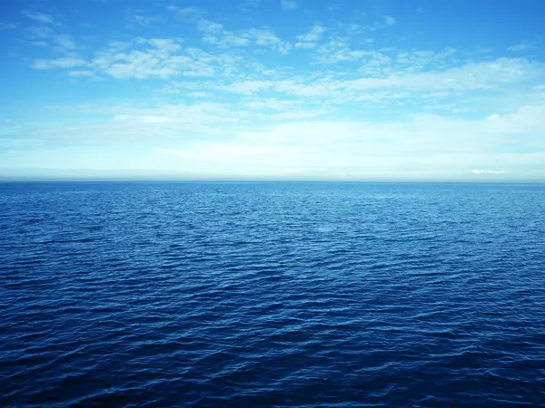 WWF-US Oceans Strategy Overview | WWF