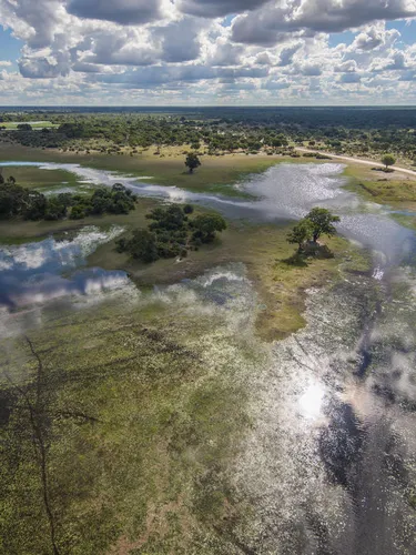 Southern Africa | WWF | World Wildlife Fund