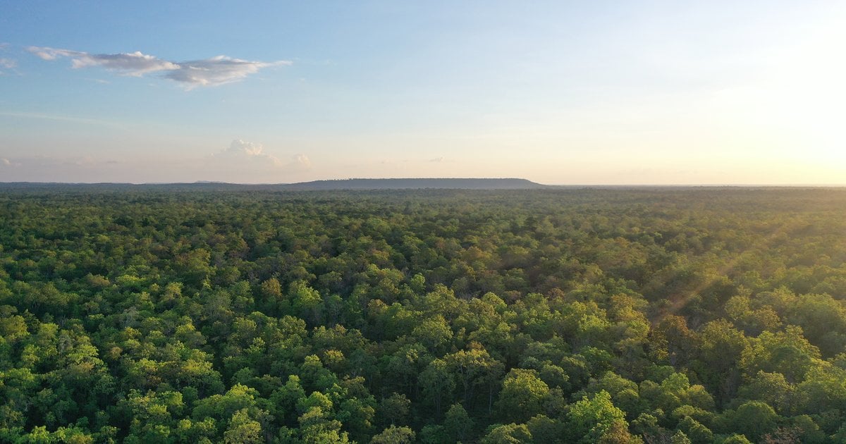 WWF’s Inclusive Approach to Protected Areas | WWF