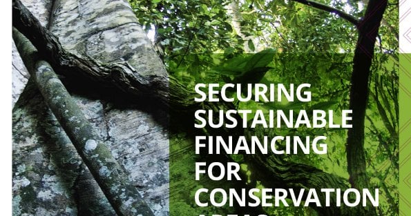 Securing Sustainable Financing for Conservation Areas | WWF
