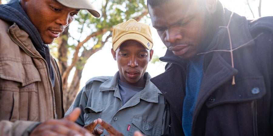 Protecting Pangolins in Namibia’s Nyae Nyae Conservancy | World ...
