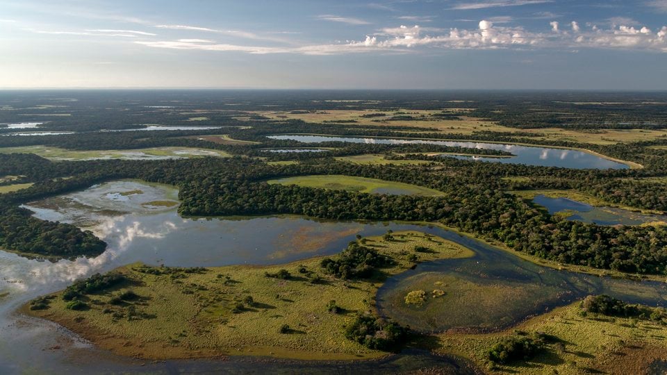 The Pantanal Tropical Wetland | WWF | WWF