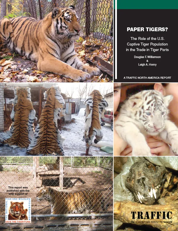 Paper Tigers: The Role of the U.S. Captive Tiger Population in the ...