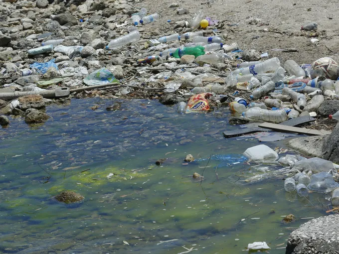 WWF Activism Highlights and Impact in 2019 | World Wildlife Fund