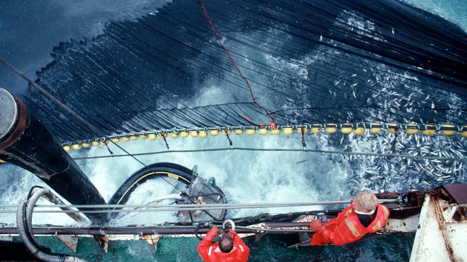 Conflict at Sea from Climate Change | World Wildlife Fund