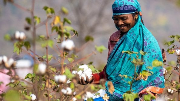 Farming in Wildlife Corridors: A Win for People and Nature | World ...