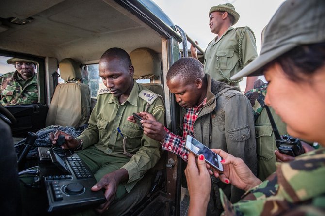 Can AI help conservation? | World Wildlife Fund