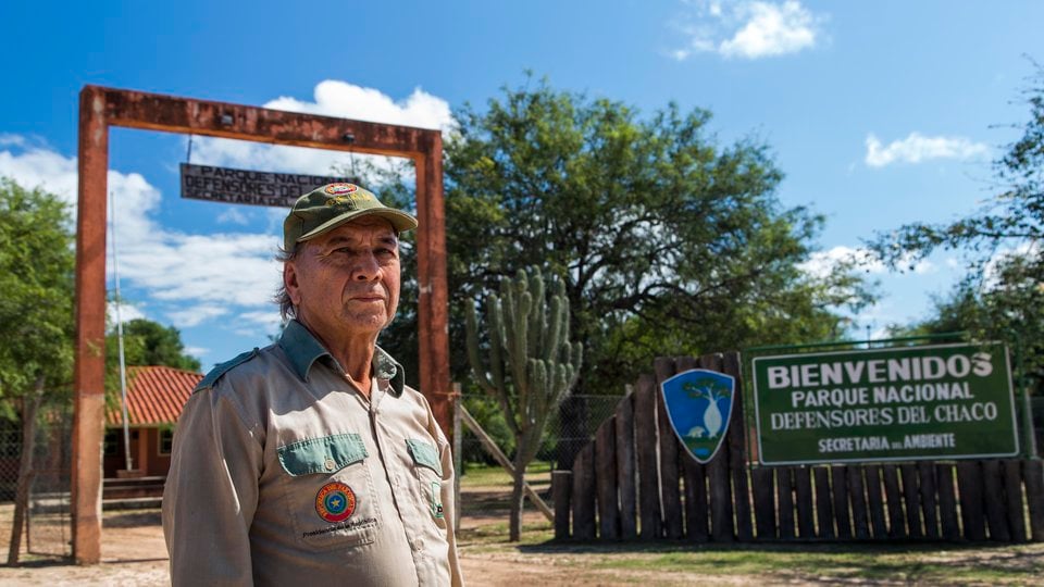 The Gran Chaco Forest | WWF | World Wildlife Fund