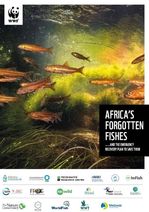 Our publications | World Wildlife Fund