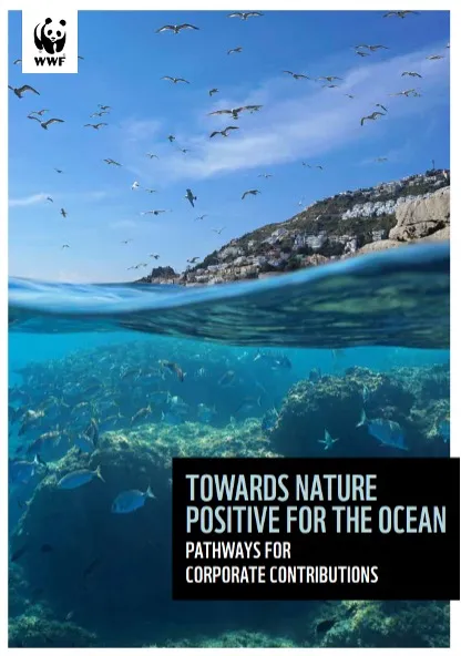 Pathways for Corporate Contributions | WWF