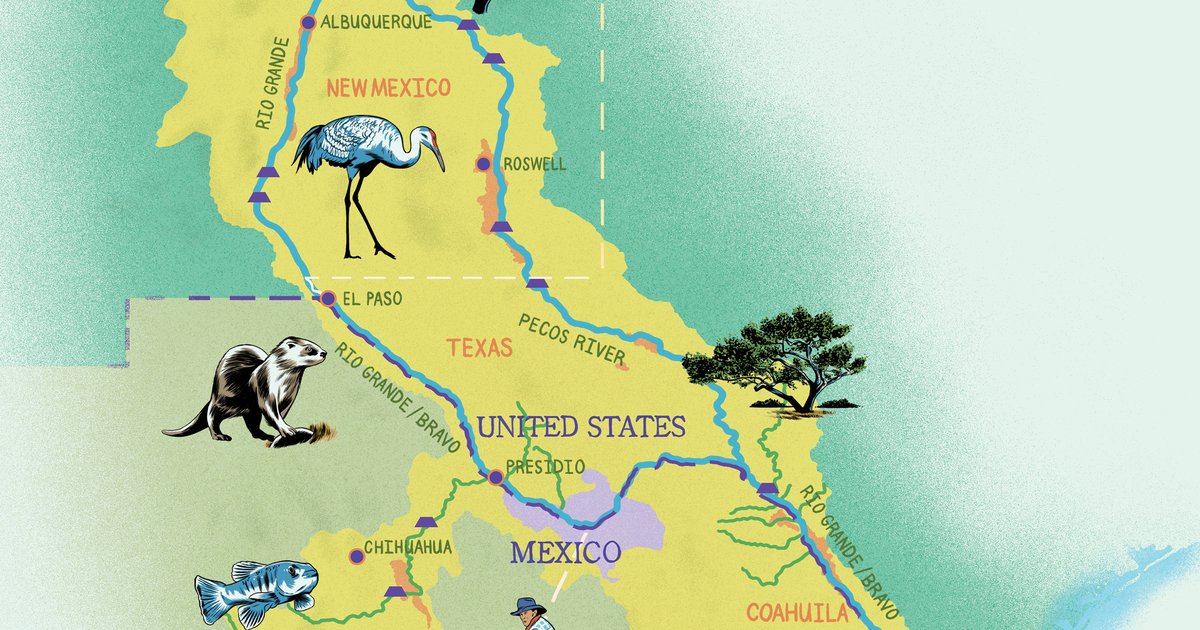 Restoring the Flow of the Rio Grande | WWF