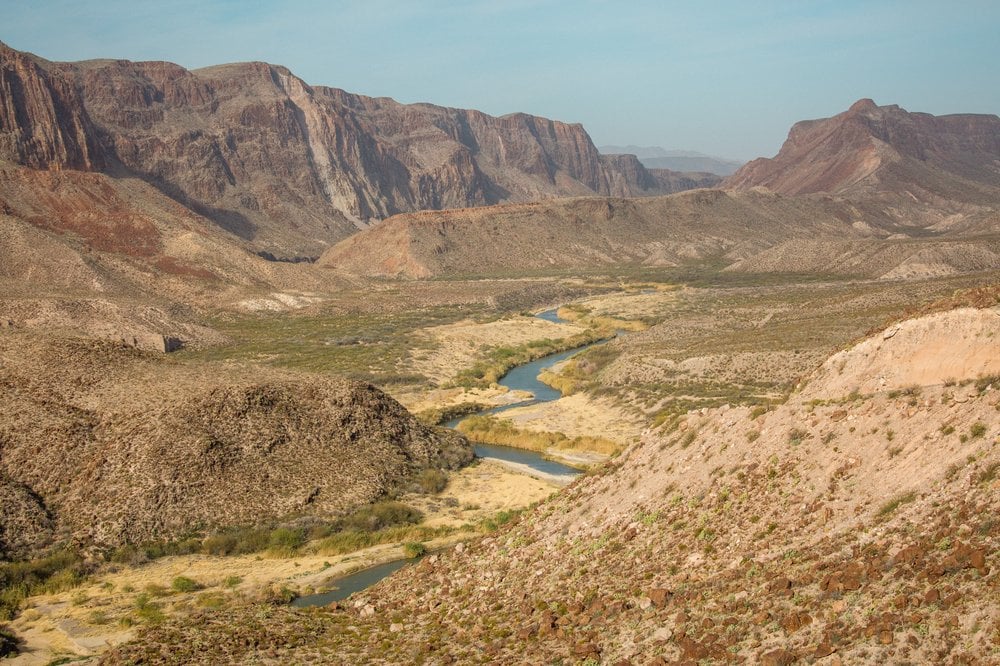Chihuahuan Desert Animals List