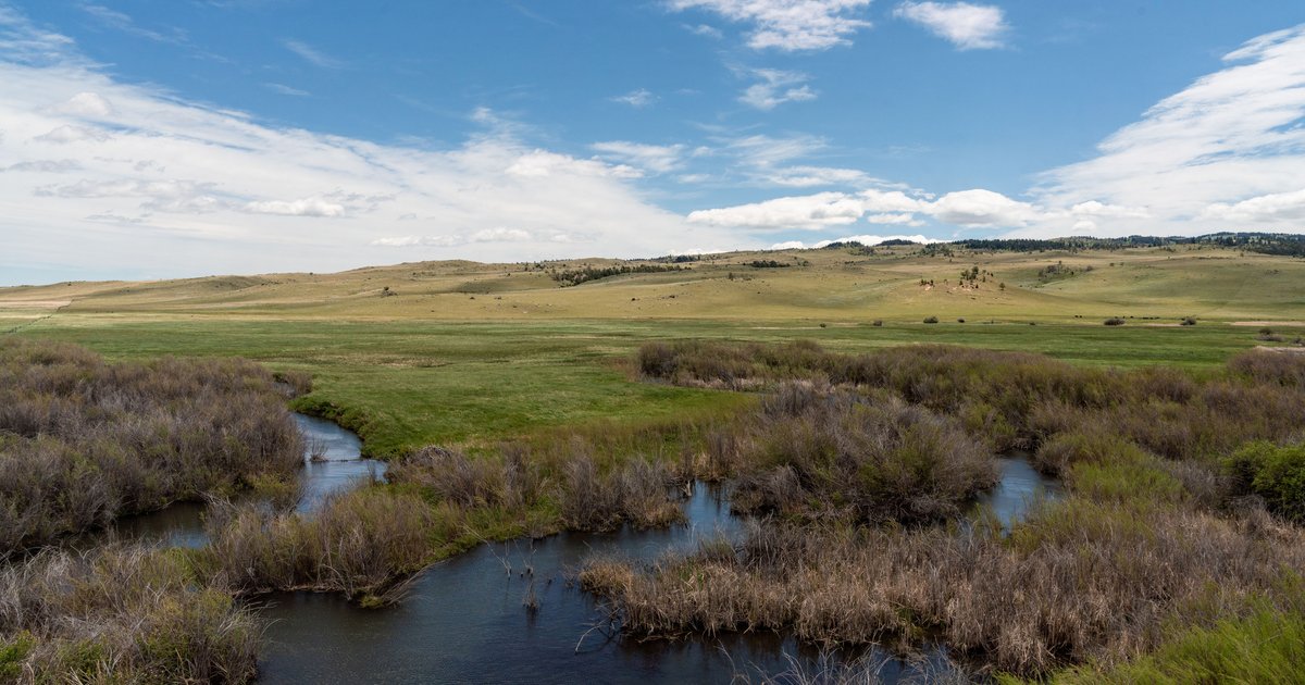 Ranching for Water | World Wildlife Fund