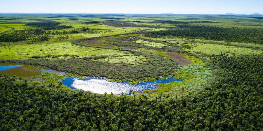 US Action for Biodiversity in 2024 | World Wildlife Fund