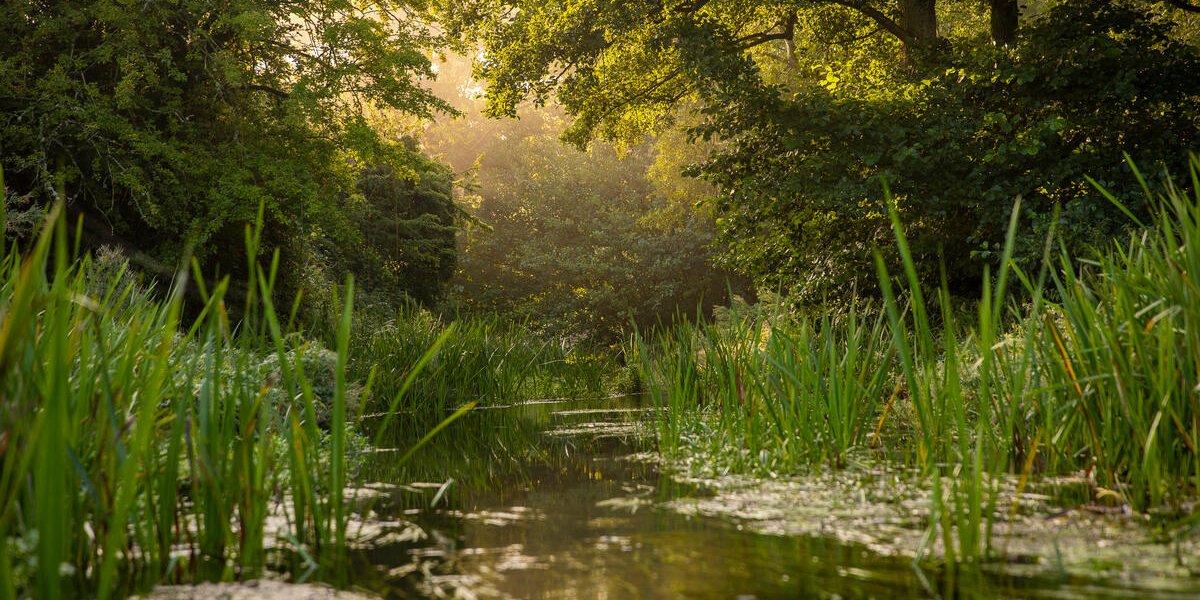 The Promise of Science-Based Targets for Nature | World Wildlife Fund