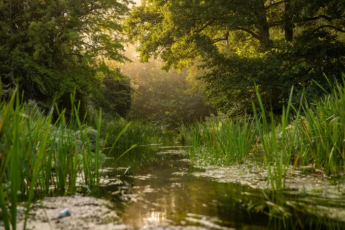 Finding Calm and Connection Through Nature | WWF