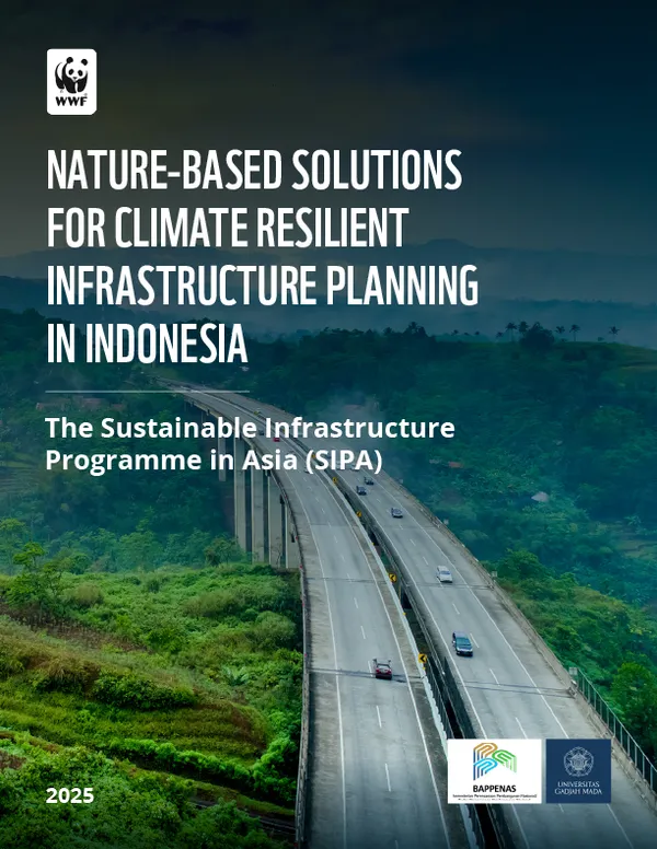 Nature-based Solutions for Climate Resilient Infrastructure Planning in ...