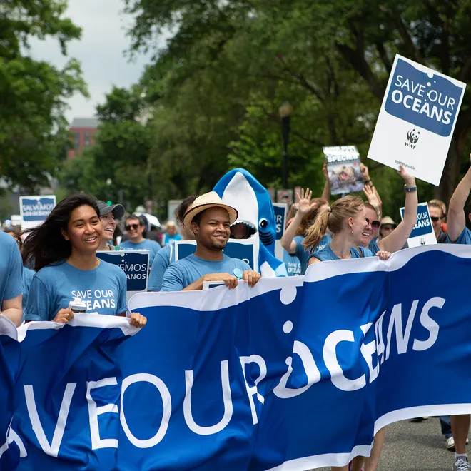 2022 Advocacy in Review: A Year of Impact and Progress | World Wildlife ...