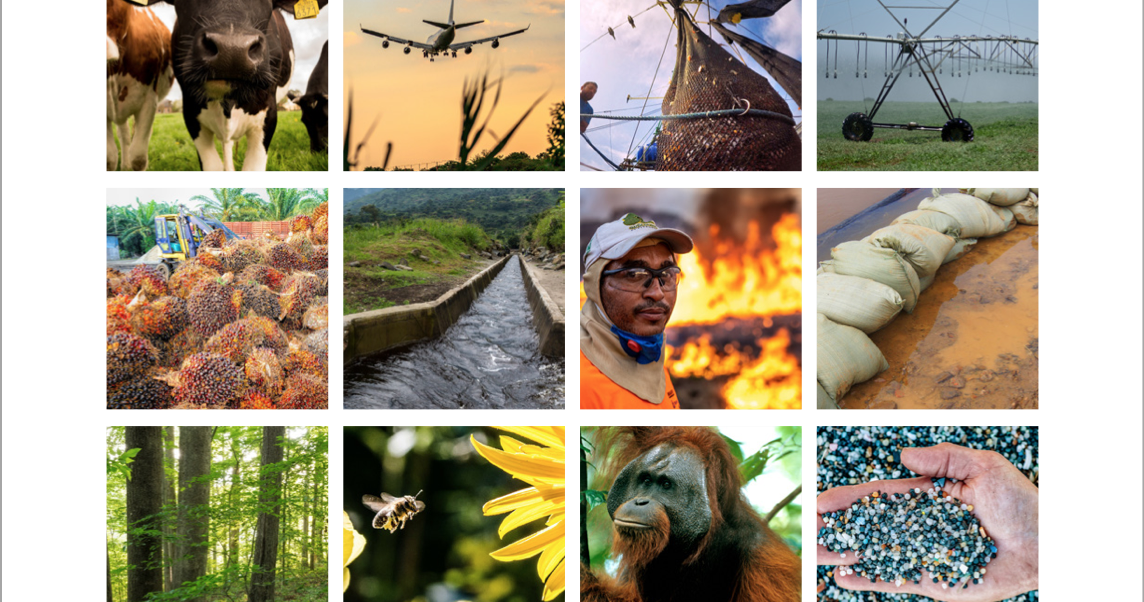 The Nature of Risk: A Framework for Understanding Nature-related Risk ...