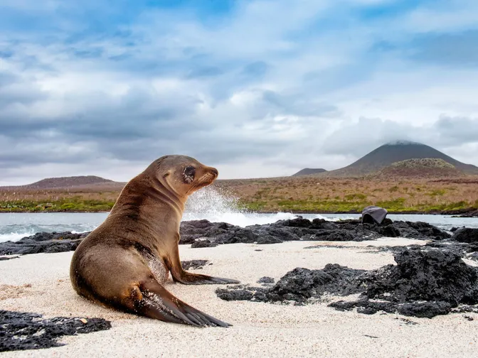Stephanie Roe’s Journey to Climate Science | World Wildlife Fund