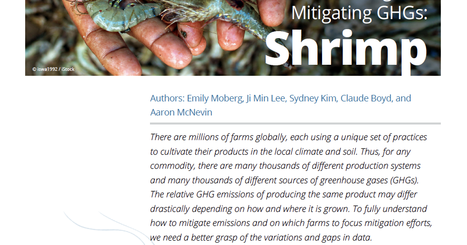 Measuring and Mitigating GHGs: Shrimp | World Wildlife Fund