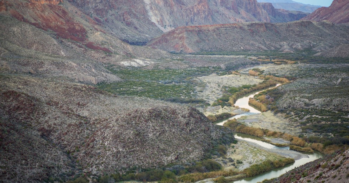 What progress was made on conservation in 2025? | World Wildlife Fund
