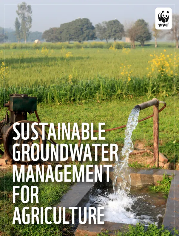Sustainable Groundwater Management for Agriculture | World Wildlife Fund