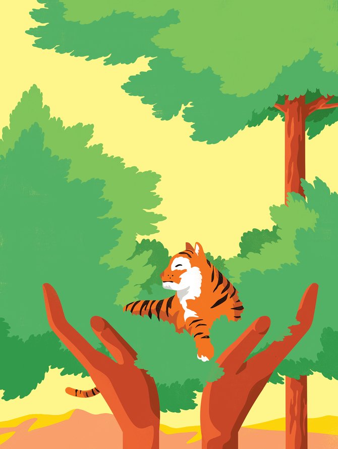 How to Ensure Your Visit to a Big Cat Sanctuary Does No Harm | World ...