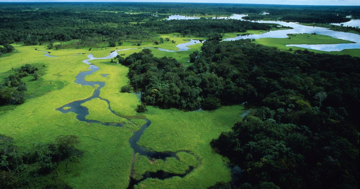 The Natural Capital Alliance | World Wildlife Fund