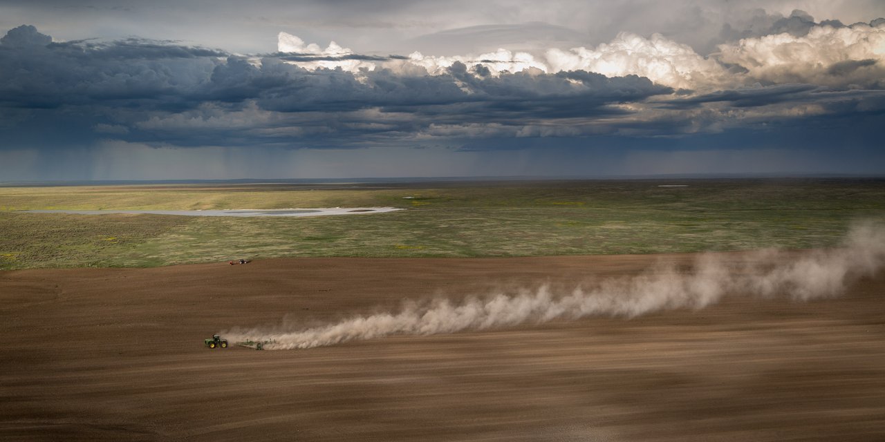 Saving America’s Grasslands: A Call to Action | World Wildlife Fund