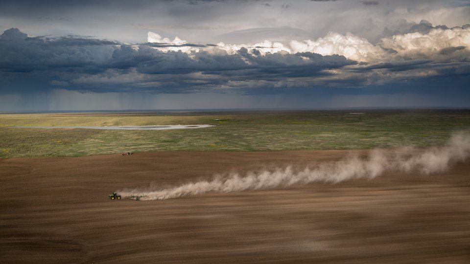 What Are Grasslands And Why Do We Need To Protect Them? | World ...