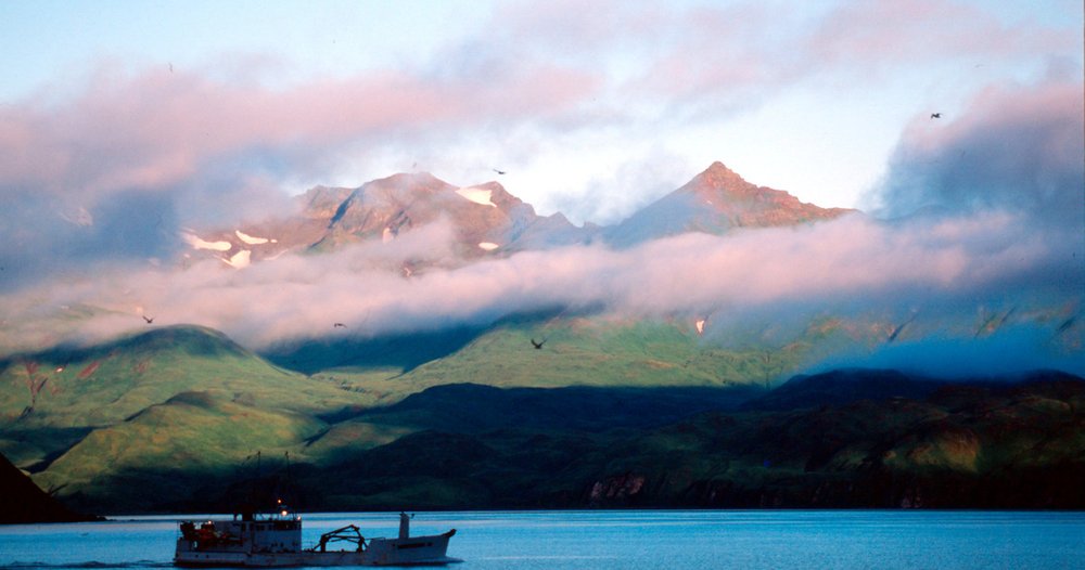 US Arctic Program Framework | World Wildlife Fund