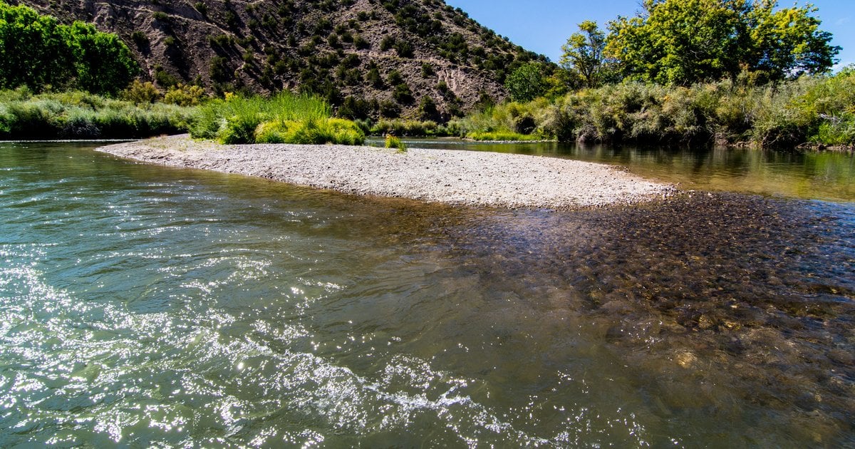 Upper Rio Grande River Report Card | WWF