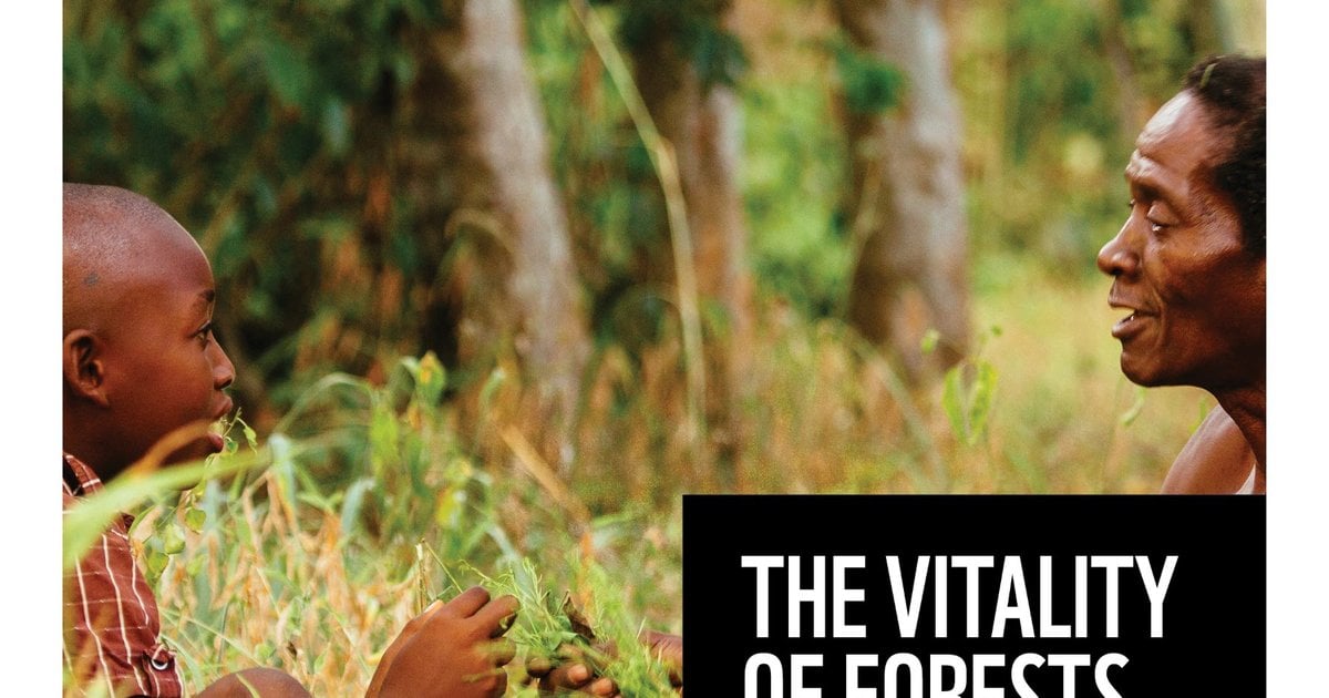 The Vitality of Forests: Illustrating the Evidence Connecting Forests ...