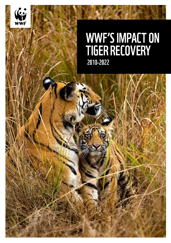 WWF's Impact on Tiger Recovery | WWF