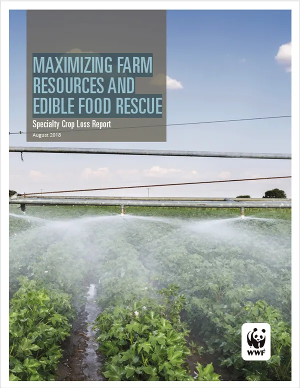 Maximizing Farm Resources and Edible Food Rescue: Specialty Crop Loss ...