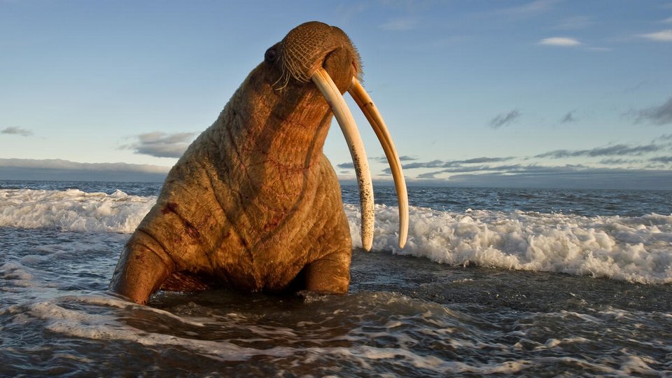 WWF and Coastal Communities Drive Marine Conservation in 202 | World ...