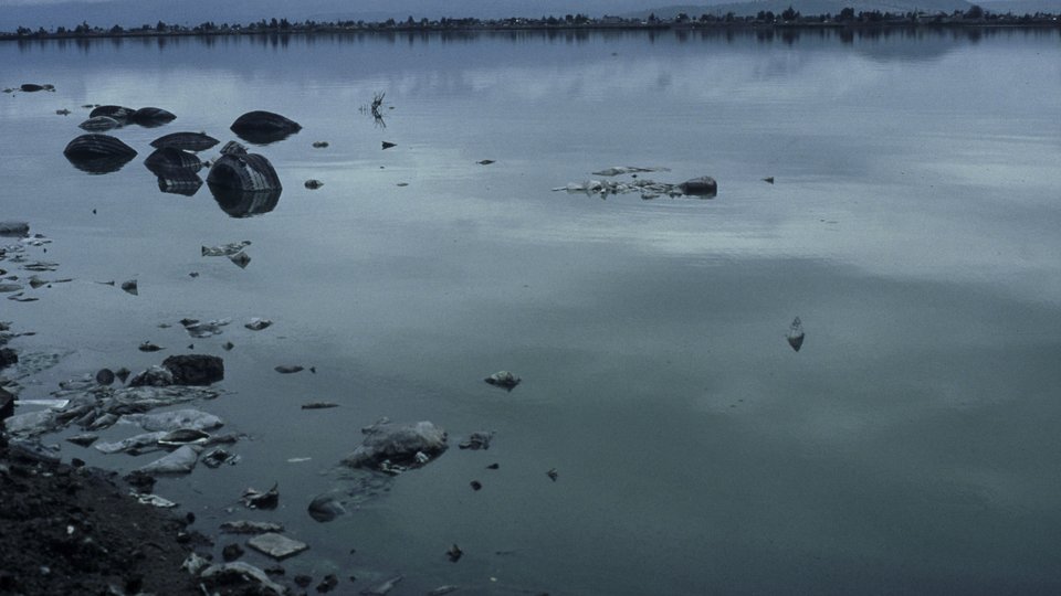 Water Scarcity: Causes, Impacts, and Solutions | World Wildlife Fund