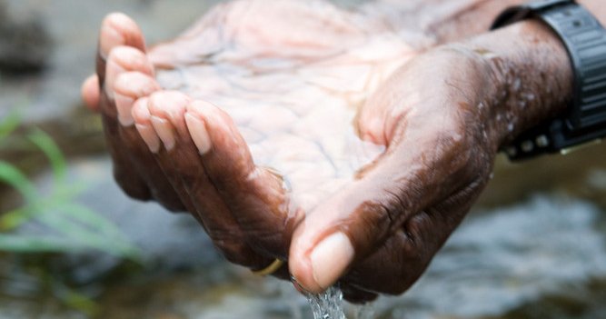 WWF Urges Global Action to Protect Freshwater Ecosystems | World ...