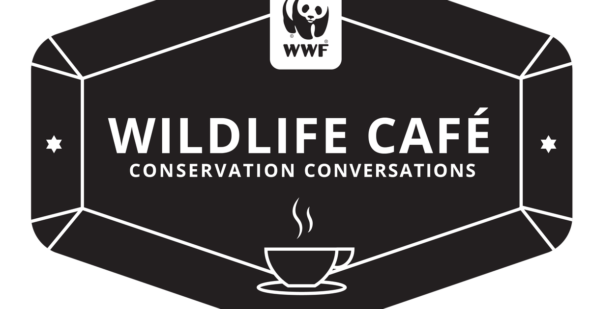 Tech tools reshape the future of wildlife conservation | World Wildlife ...