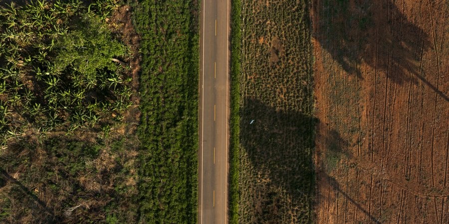 Interoceanic Highway’s Impact on Amazon Forests | World Wildlife Fund