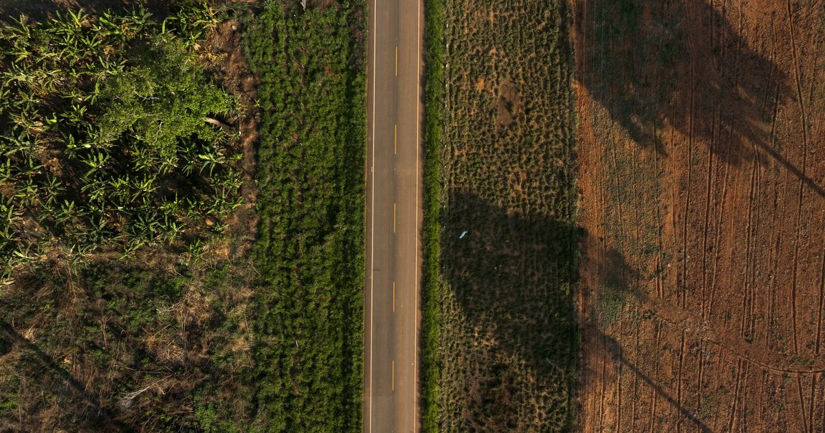 Interoceanic Highway’s Impact on Amazon Forests | World Wildlife Fund