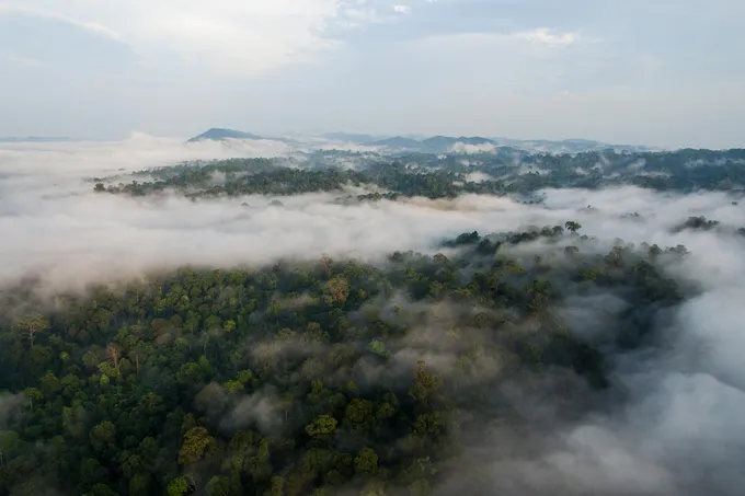 What progress was made on conservation in 2025? | World Wildlife Fund