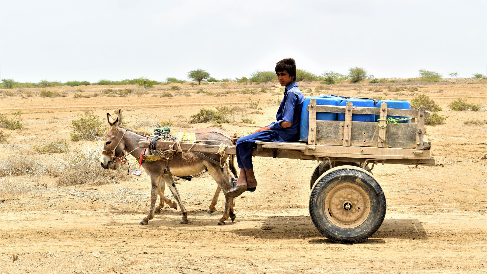 8 Key Facts About Global Water Scarcity | WWF