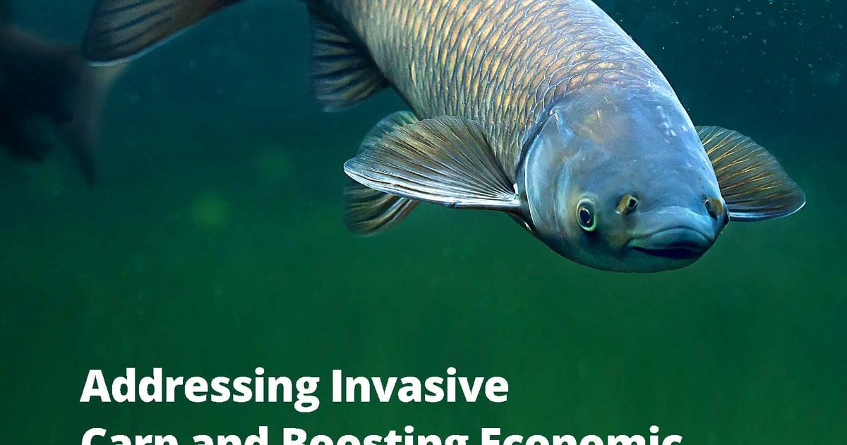 Addressing Invasive Carp and Boosting Economic Development through ...