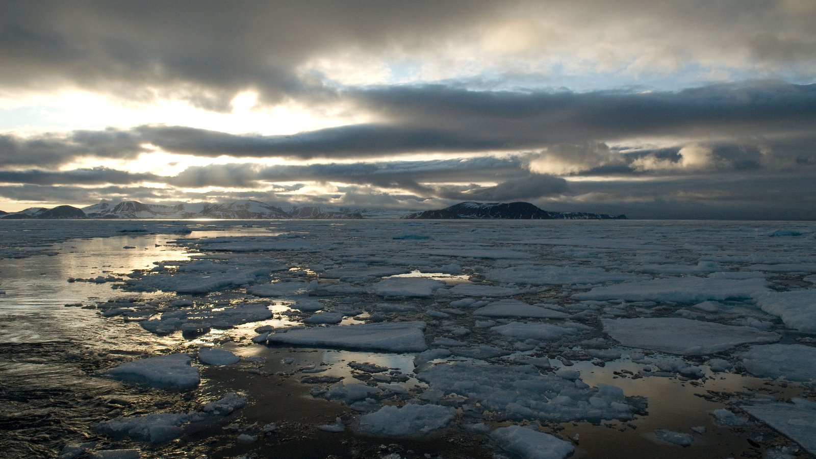 The Effects of Climate Change on Wildlife, Habitats, People | WWF